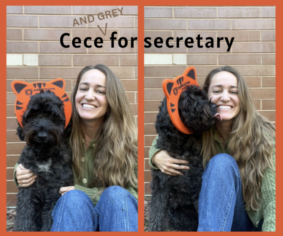 Secretary Candidates – Lakeside Apartments Committee